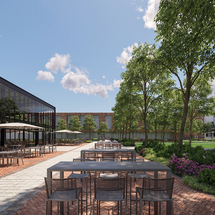 EASY — JANUS et Cie