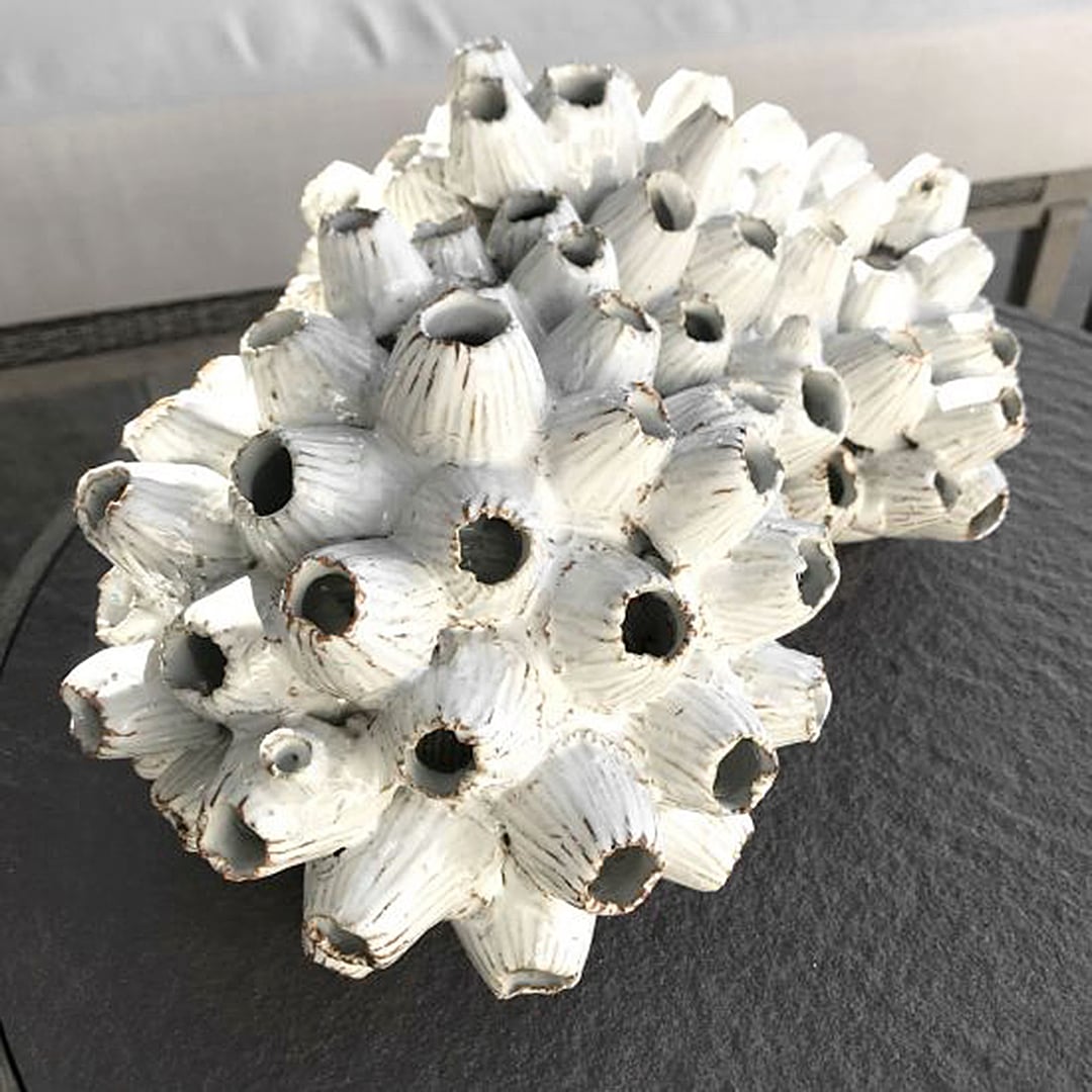 HABITAT BARNACLE VASE - JANUS et Cie