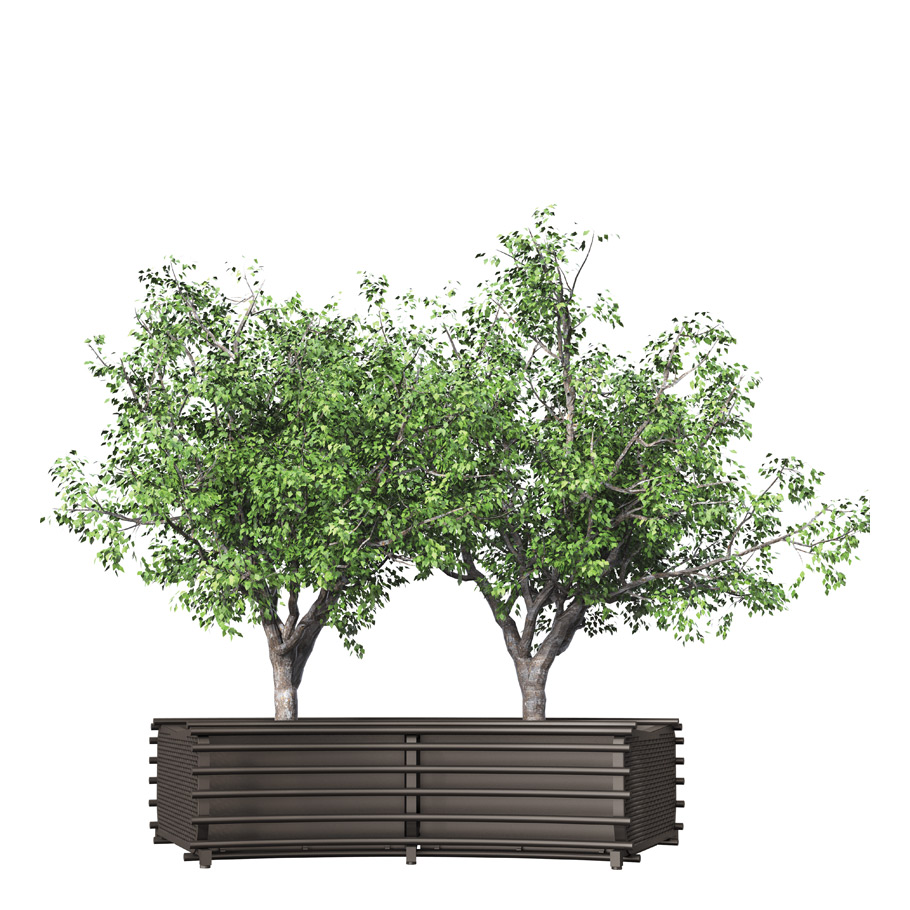 RIO PLANTER CURVED 189 - JANUS et Cie